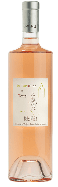 Domaine de Bois Mozé, Terre de Haut, AOP Anjou, White | Bruno Lafon ...