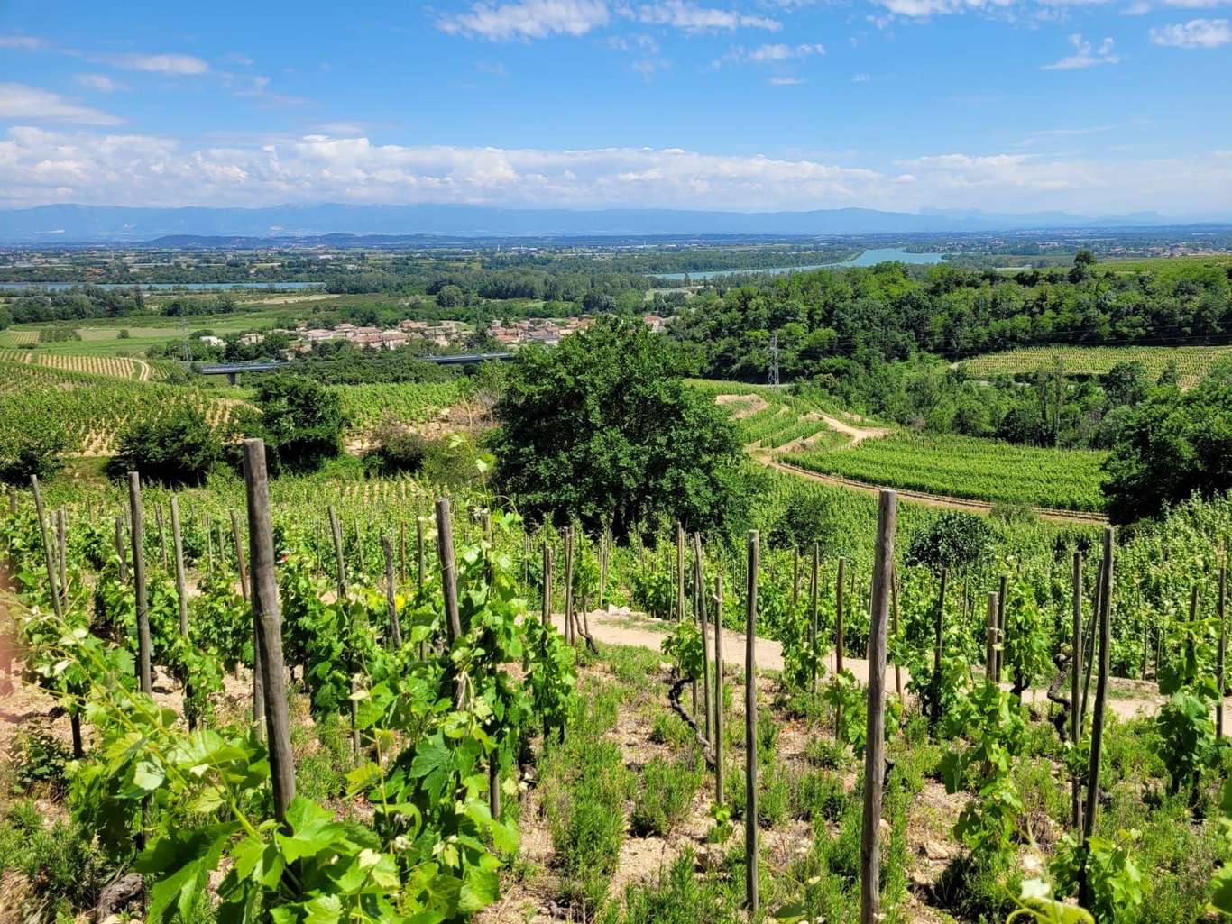 Domaine Gérard Courbis | Bruno Lafon Selection