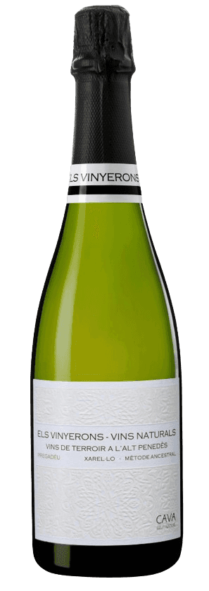 Spain, El Vinyerons - Vin Naturals, Pregadeu, Cava, Espagne ...